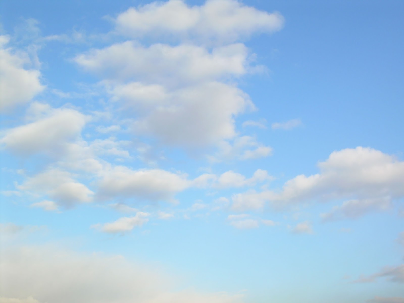 Como la princesa del guisante: agosto 2012