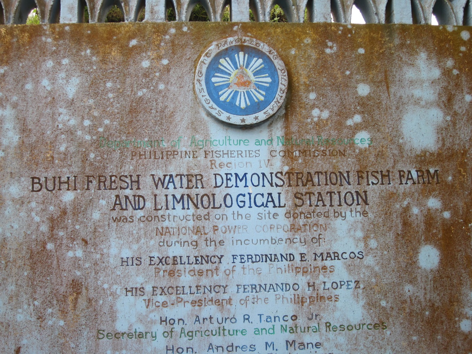 Sinarapan sa Buhi: Photo Gallery