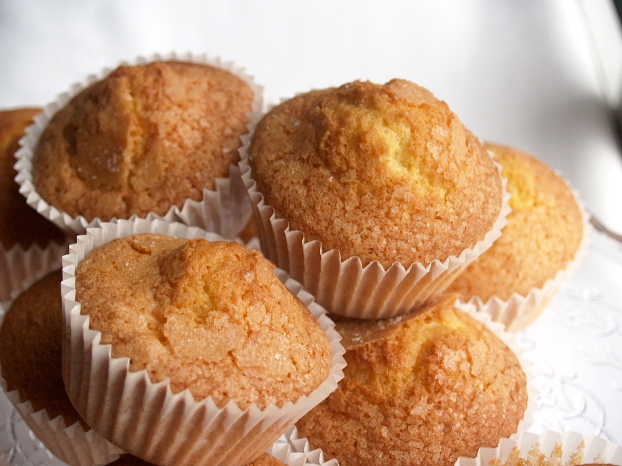 O GARFELO: MAGDALENAS, las de toda la vida.