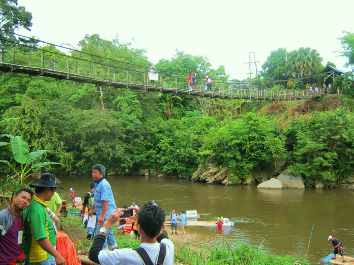 Cats City Hornbill Land: PADAWAN FEST RIVER SAFARI