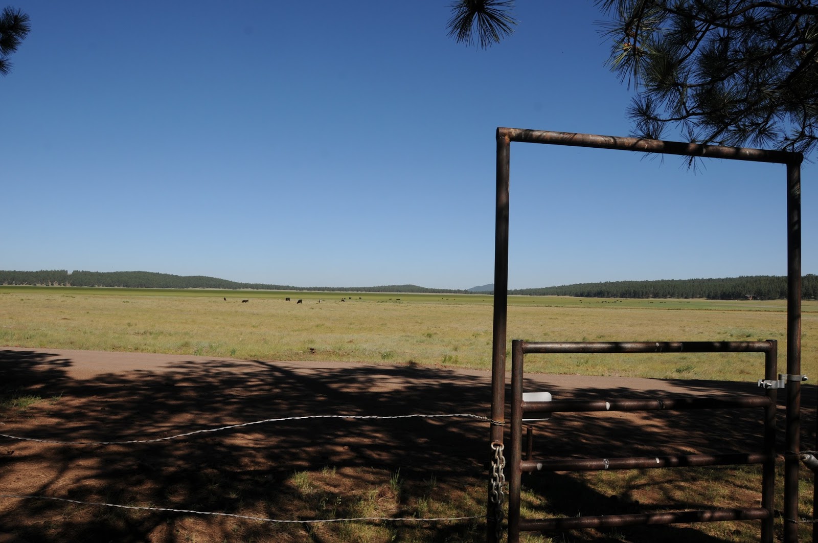 Arizona Hiking: WOODY MOUNTAIN