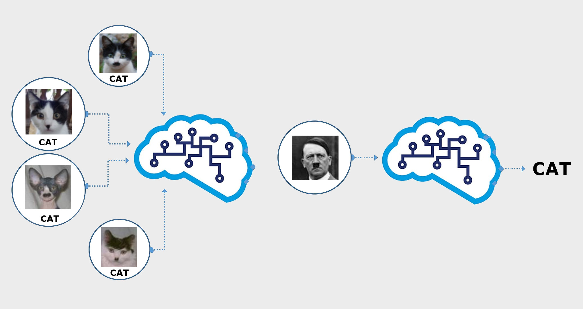 Intuition and the (Biological) Machine Learning Algorithm