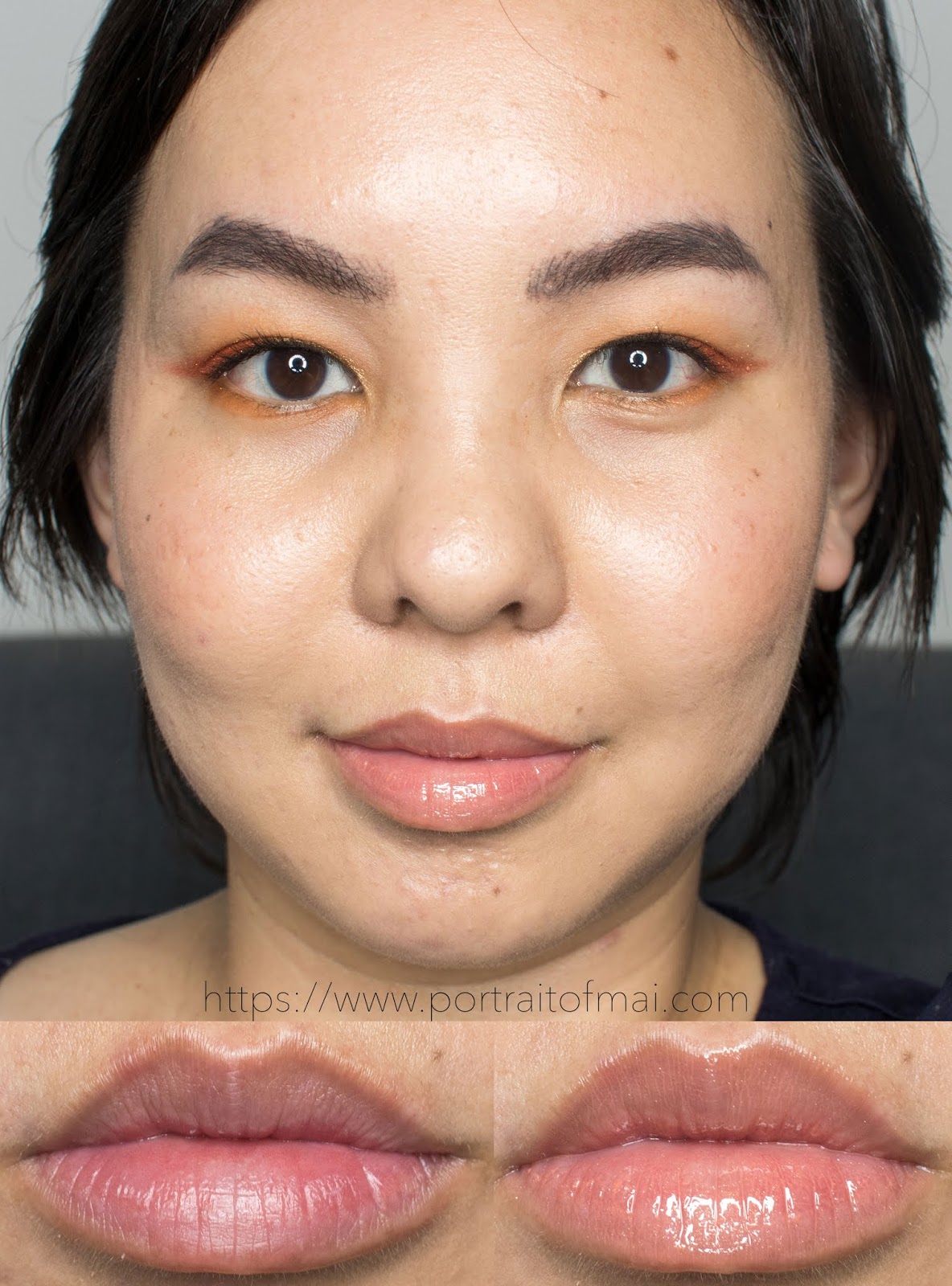 Persona Cosmetics Season One Lip Gloss: Swatches and Review - Portrait ...