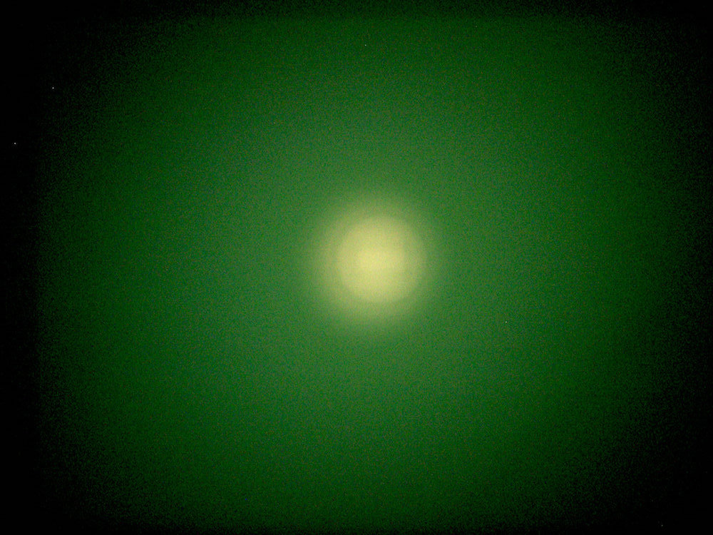 Gray Loft Gallery Gray Loft Gallery The Meaning Of Green gray-loft-gallery-gray-loft-gallery-the-meaning-of-green