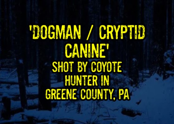 Phantoms and Monsters - Real Cryptid Encounter Reports - Fortean Researcher Lon Strickler