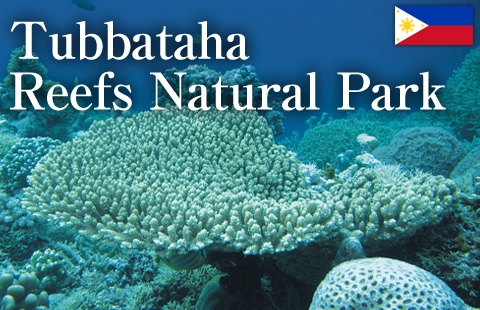 Filipinas Beauty: Tubbataha Reefs Natural Park, Palawan, Philippines