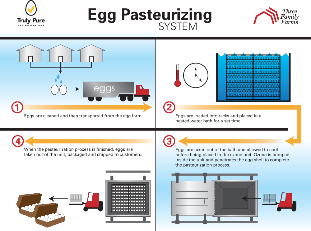 FNSC3180 Food Microbiology, Chinese Univ of Hong Kong, by HS Kwan ...