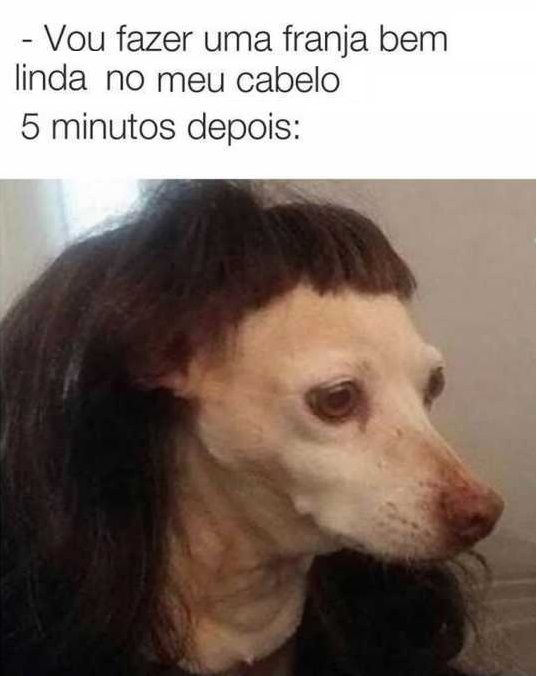 NÃO VIRE MEME! EXPERT EXPLICA QUE SUCESSO PARA CORTE DE CABELOS ...