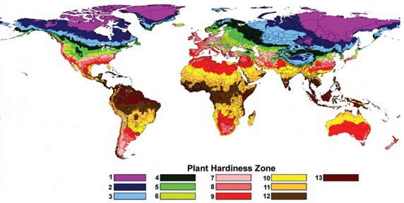 Strathcona Beekeepers: Bee Plants