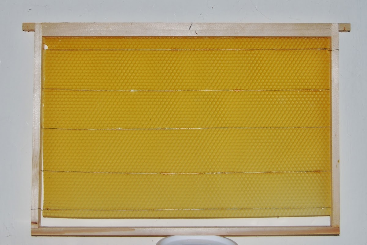 French wildlife and beekeeping: Waxing frames for bee hives.