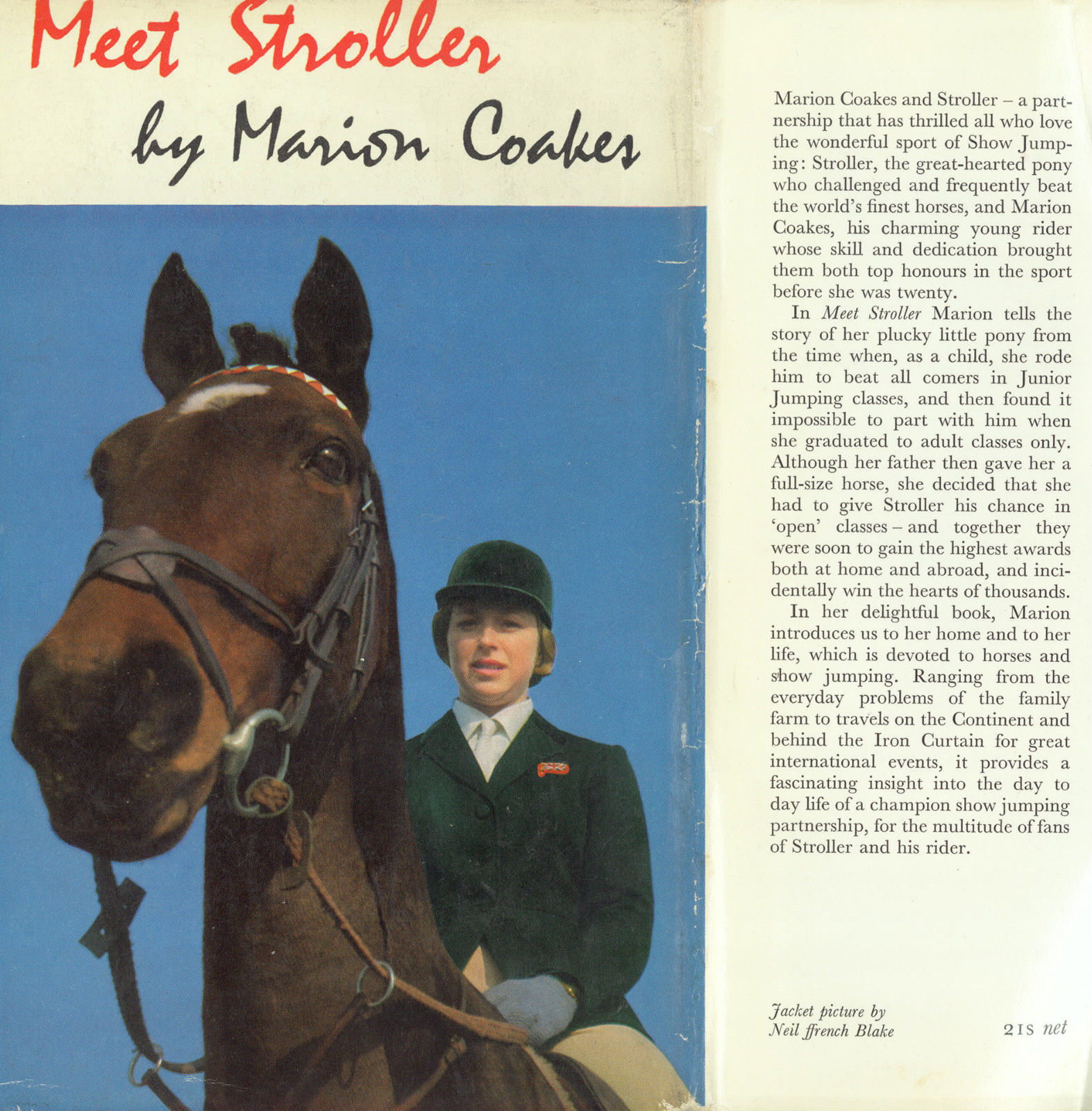 International Winning Irish Bred Horses