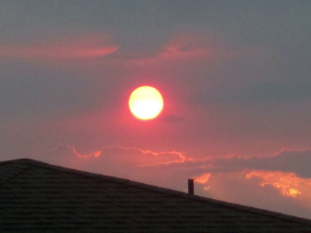 Paw Bender - A Great Idea