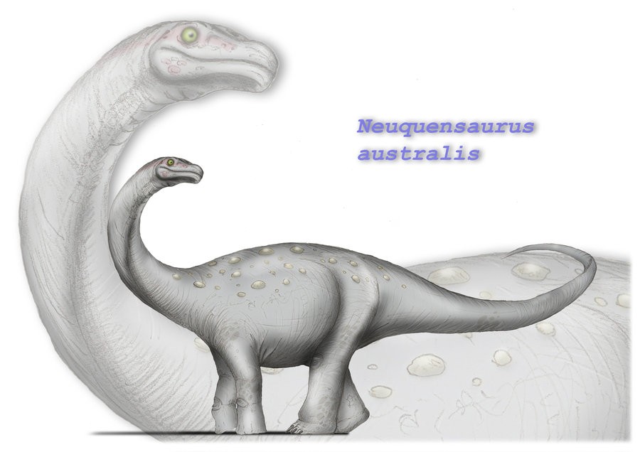 Extinct Animal of the Week: A Neu Saurus