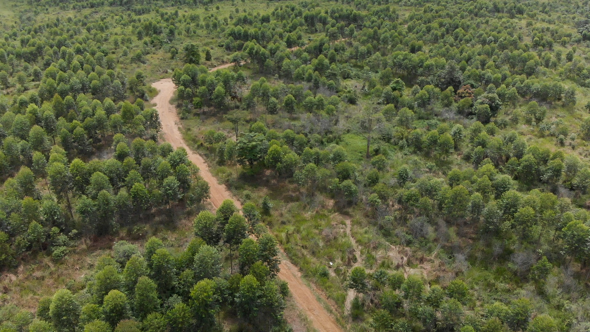 Potential Of Natural Resources And Its Distribution Aba4pes potential-of-natural-resources-and-its-distribution-aba4pes