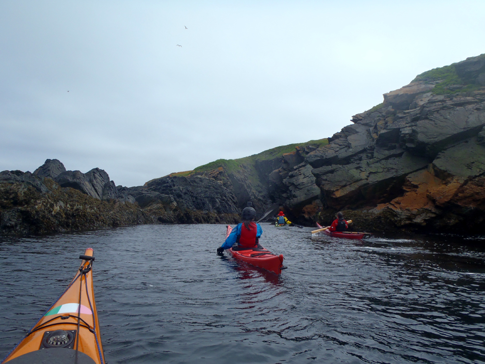 My Newfoundland Kayak Experience: Great Colinet Island (2016) Part 3