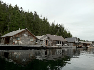 Heron Adventures: Catching Coho, Hakai Lodge