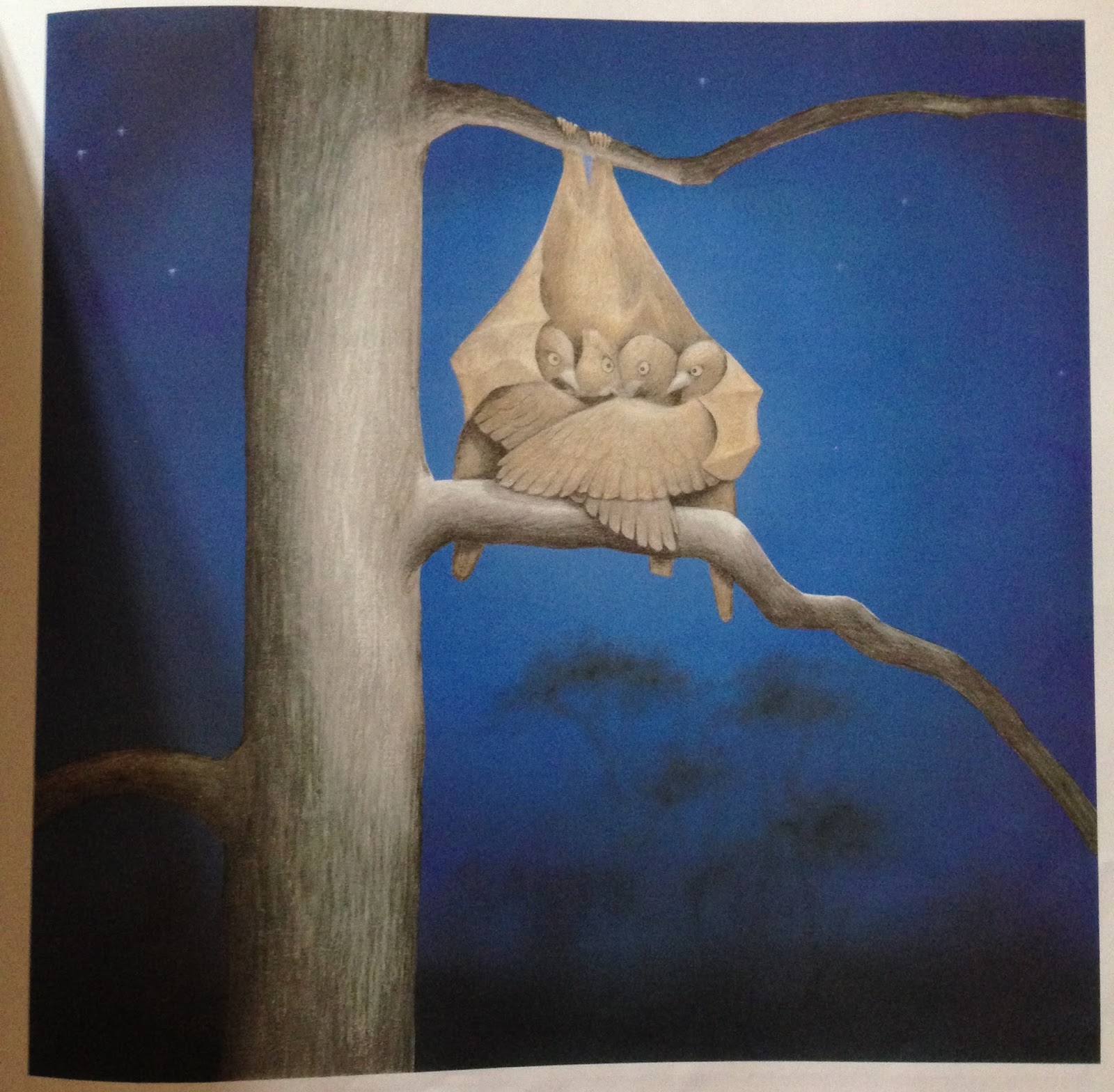 Erin's Blog: Stellaluna