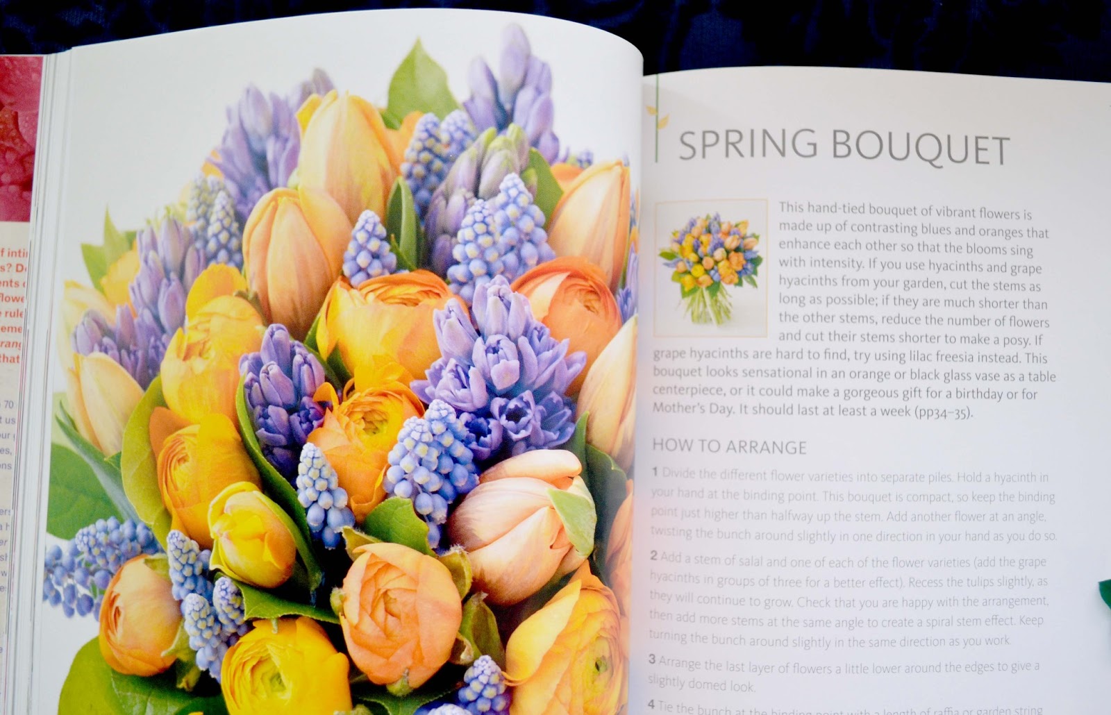 Woman in Real Life: Spring Cleaning Made Easy (Book Review)