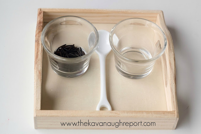 Introduction to Spooning for Montessori Toddlers