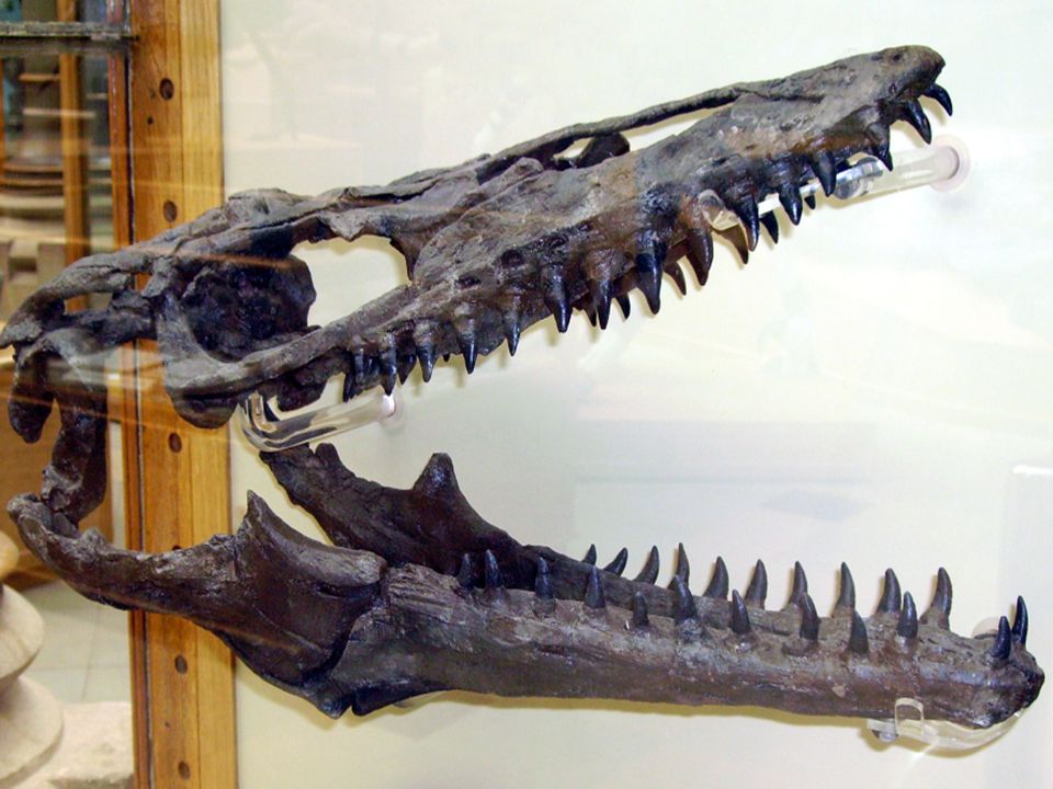 Geomythology - Part III ~ Hudson Valley Geologist