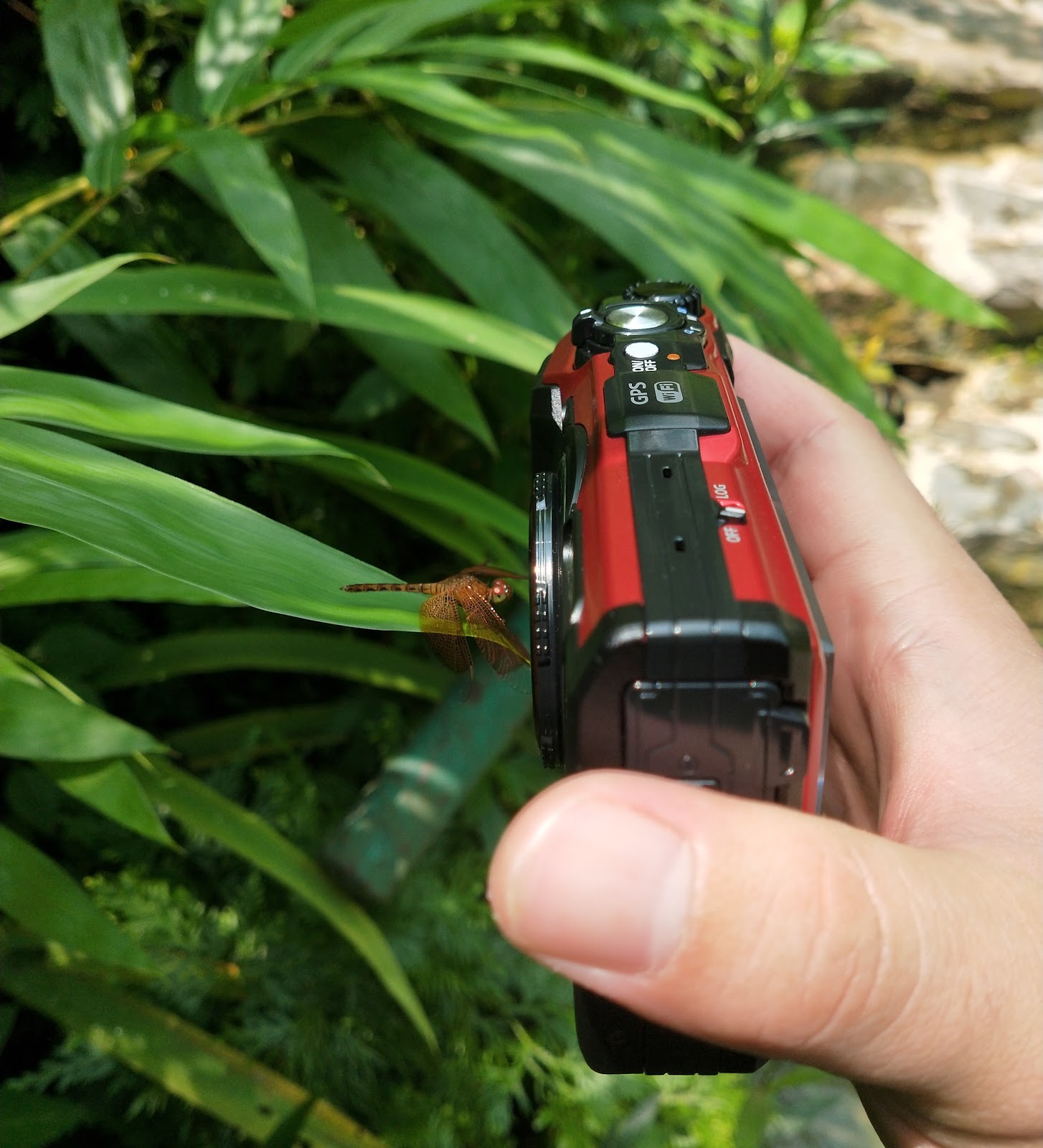 ROBIN WONG : Olympus Tough TG-6 - A Brief Hands On