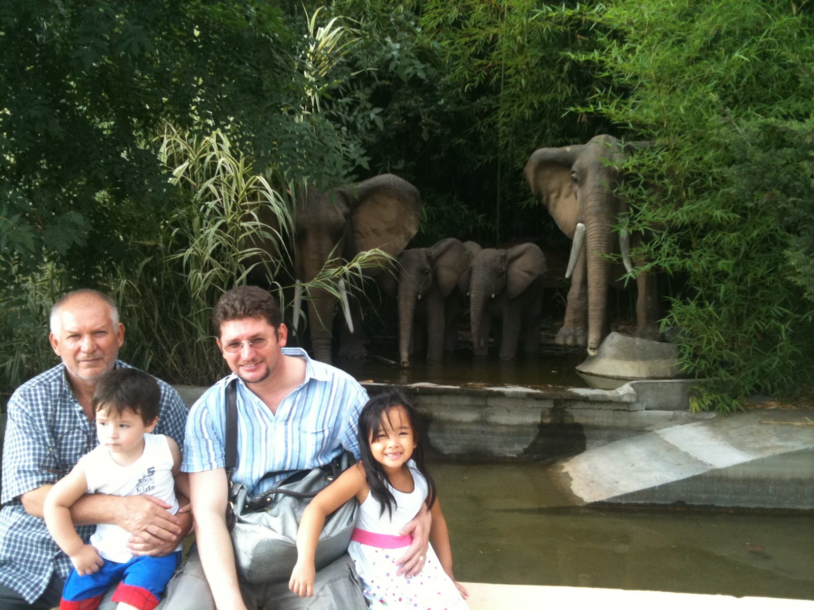 TURKNOY: Exploring Istanbul: Hayvanatbahcesi (Animal Garden or Zoo)