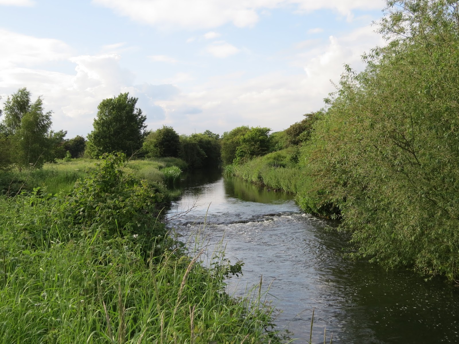 Small Rivers - Roving For Success This Summer | SYORK&MIDs FISHING Press