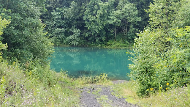 Valley Girl Views: Fall Brook Acid Mine Treatment Ponds