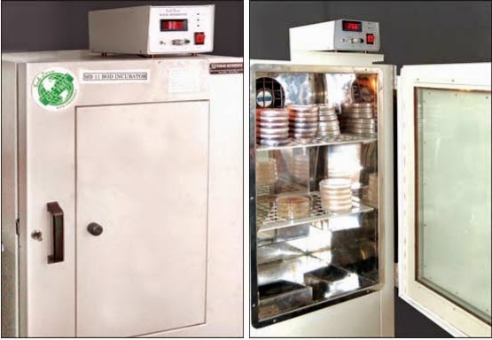 Incubation and Processing of Cultures in the Laboratory | Tuyenlab