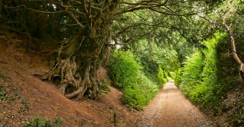 PhotoEclectica: A hollow way or sunken lane?