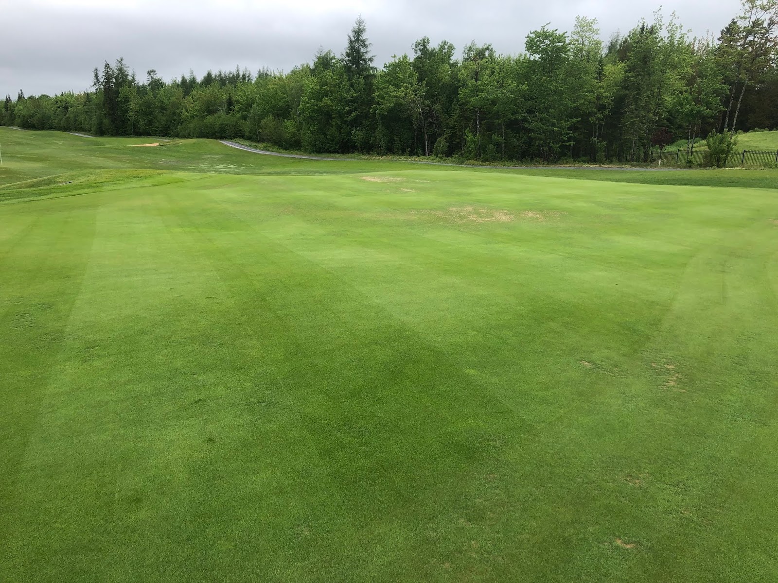 From The Greenside Progress 