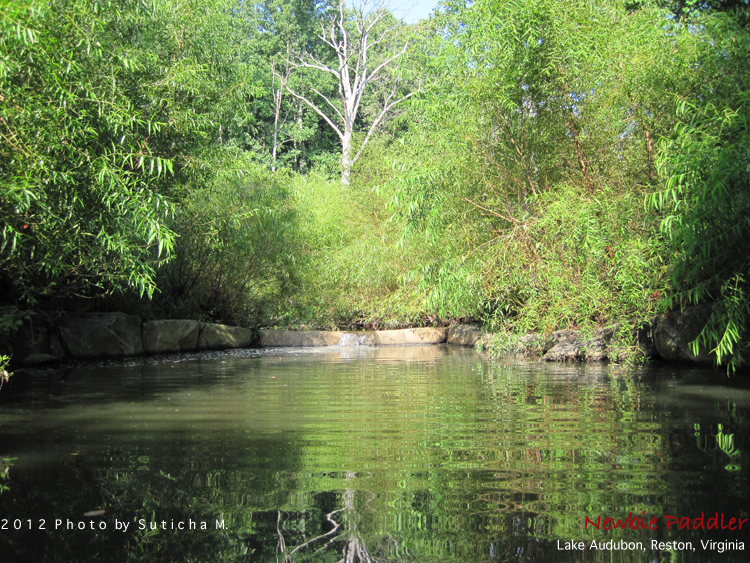 Newbie Paddler: Lake Audubon, Reston, Virginia