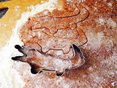 Cake Of The Week: Sour Cherry & Pistachio Crocodile Biscuits