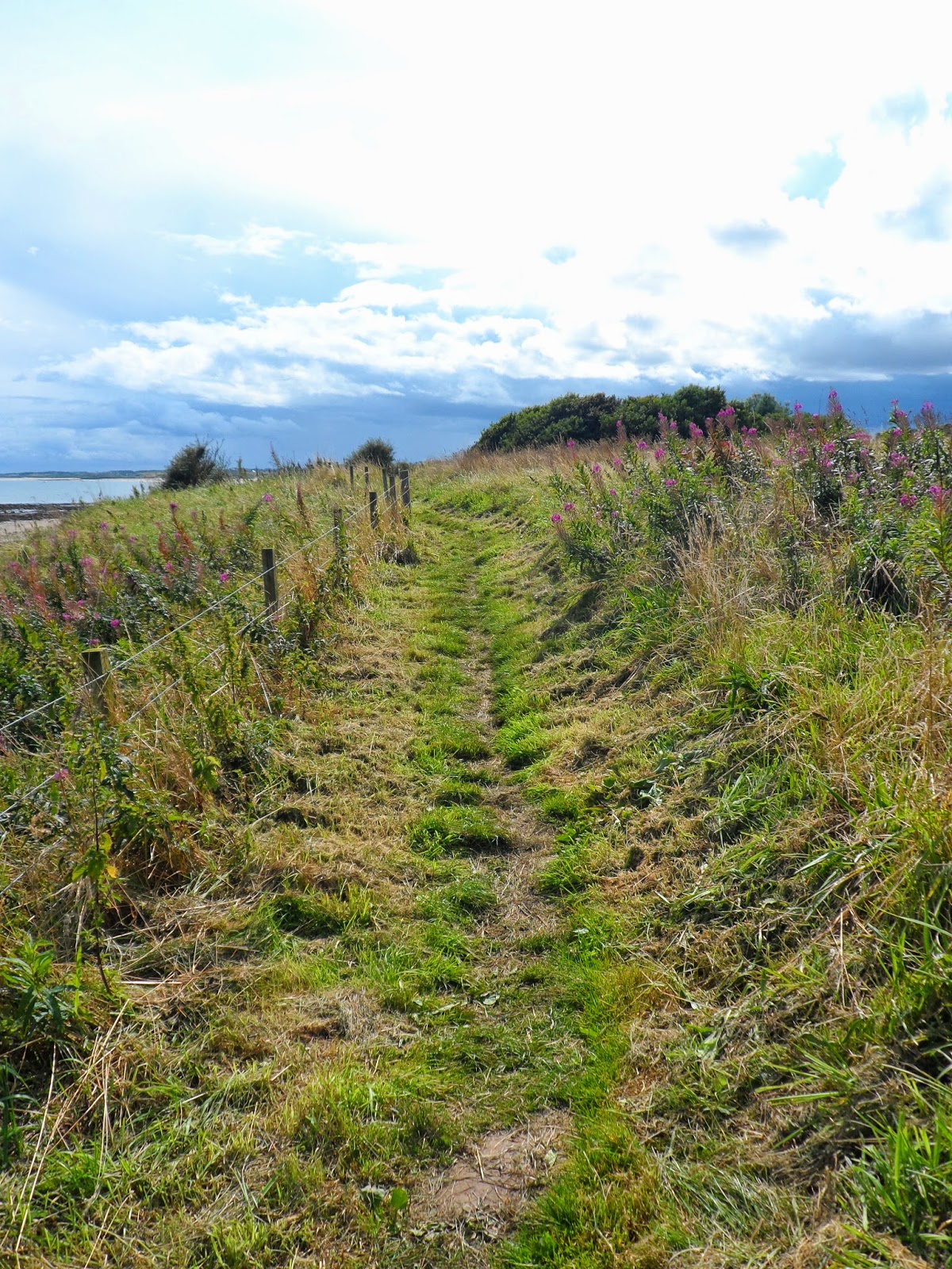 round the rails we go: Val de Ree (Ha Ha Ha Ha Ha)