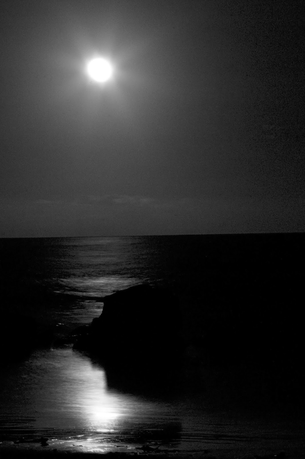 Susantha Yaddehige photography: Golden sunlight shines Through the ...