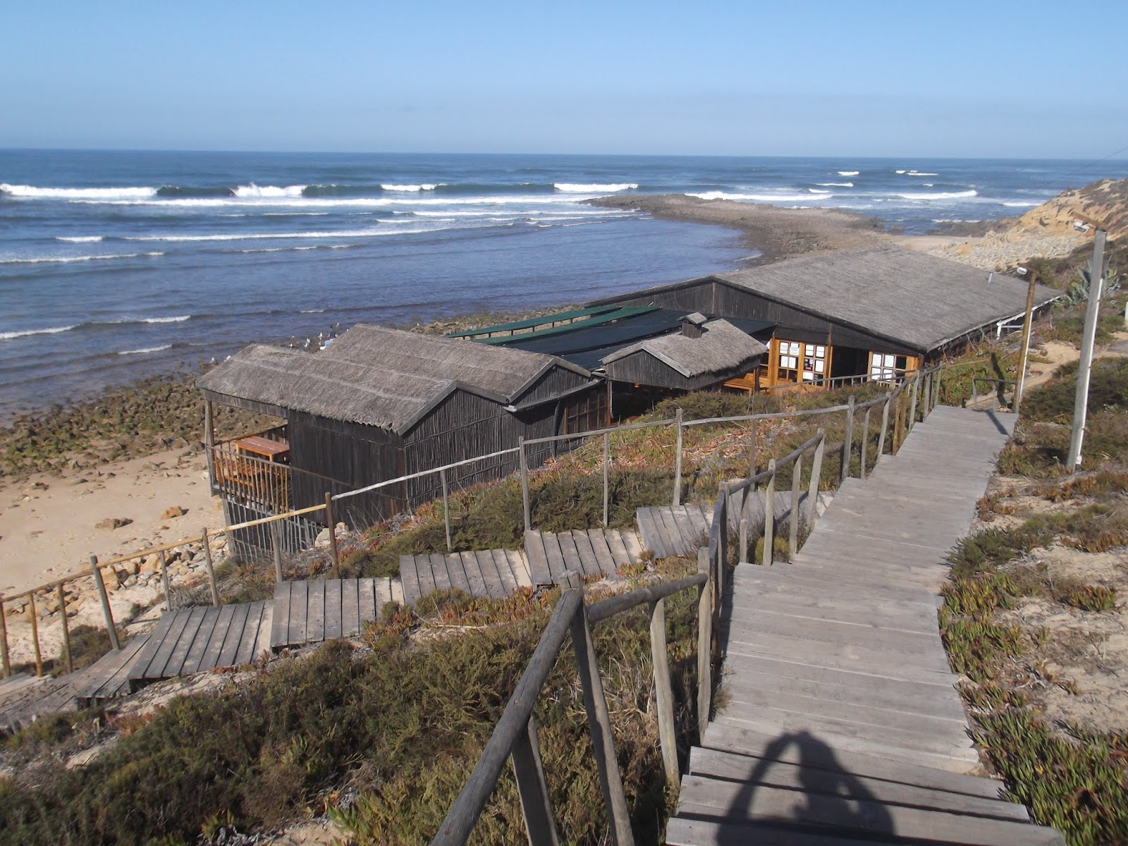 Chá de Limonete: 2019