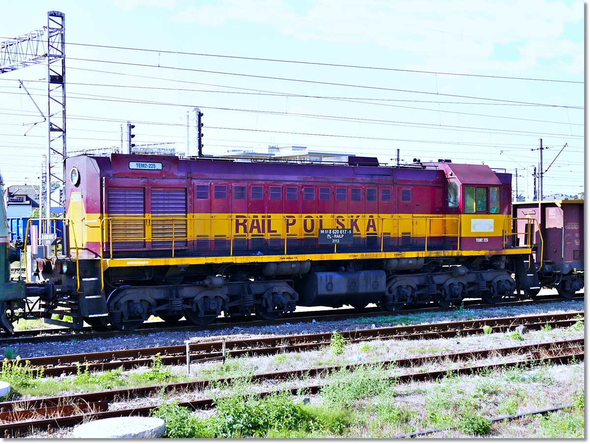 Rail Polska 183 036 + TEM2-225 na stacji Kielce Herbskie | Kolejowe Kielce
