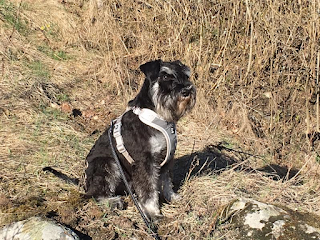 Små och stora äventyr med Atle: Atle idag