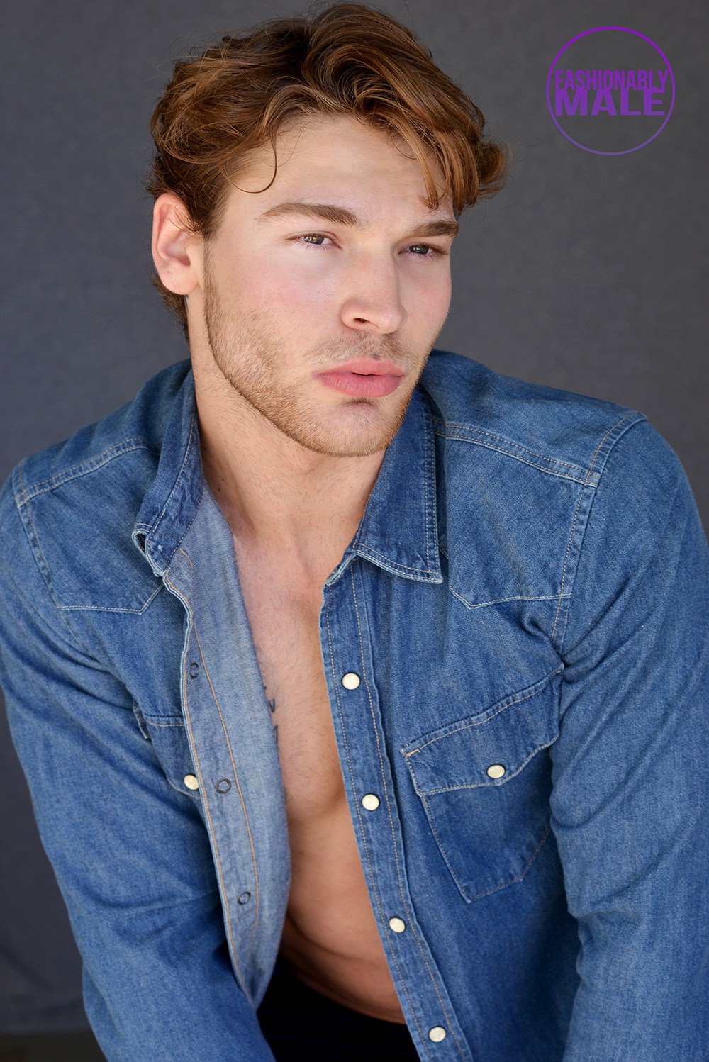 Male Erotica: Dominic DeRosa by Matthew Mitchell