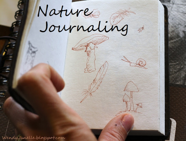 Living Creatively: 10 Ways to Vary Your Nature Journal Layouts