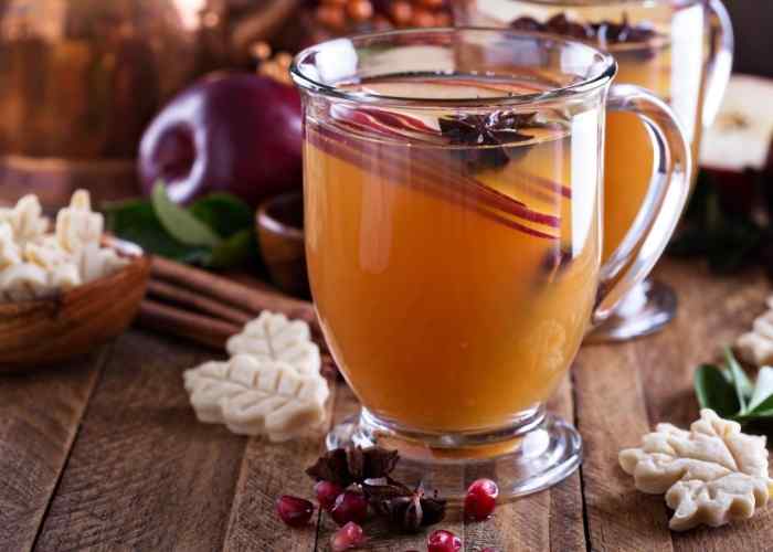 Easy Mulled Cider Recipe Slow Cooker - Koti Beth