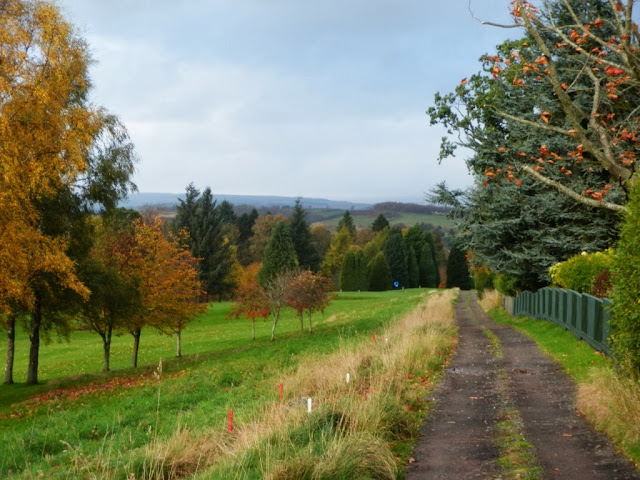 My Daily Walk: Dunblane Golf Course
