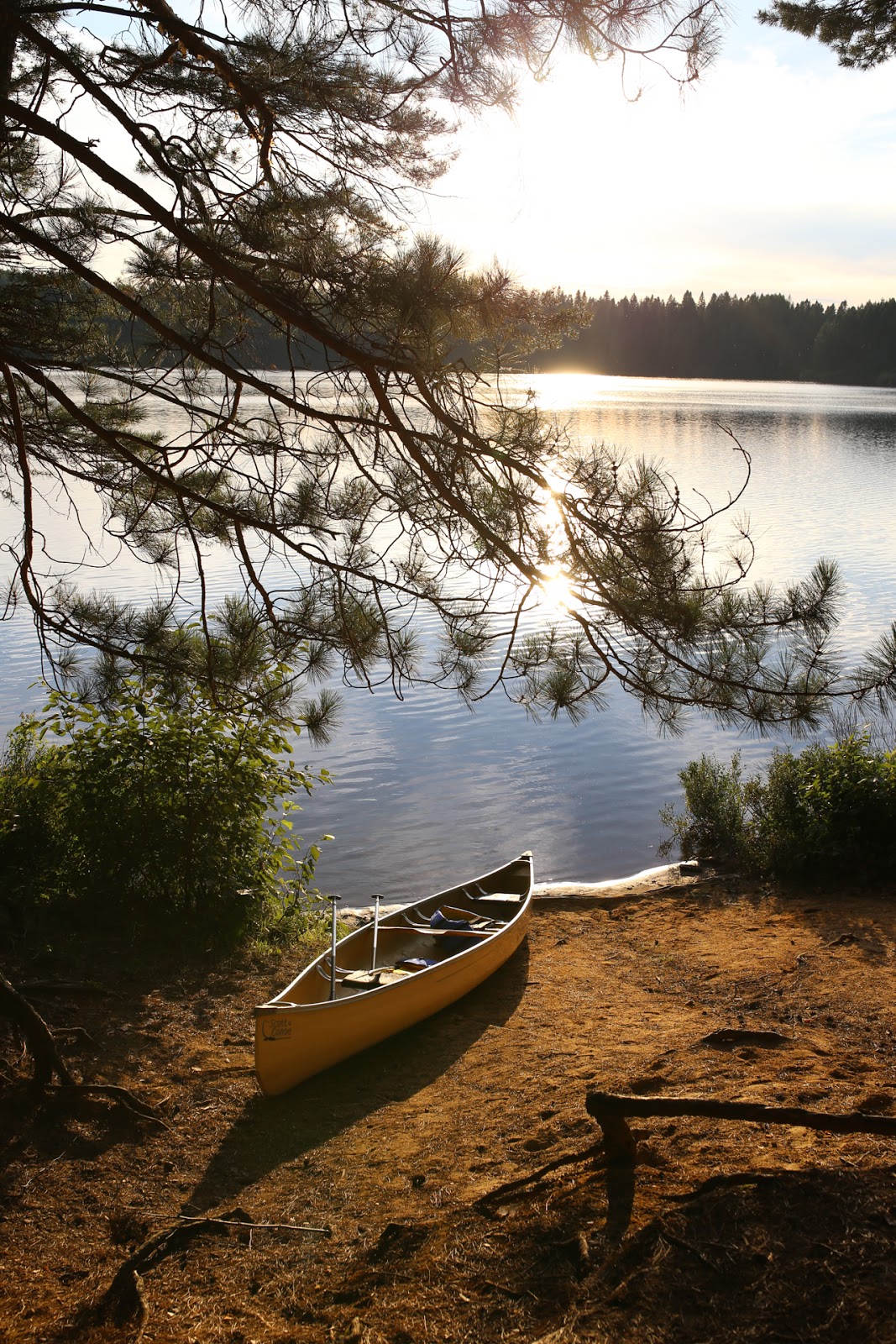 Algonquin Provincial Park - Pog Lake Campground ~ this anomal life.