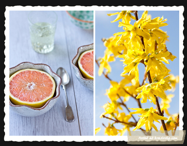 KRASIVO: Mowie Kay food photography