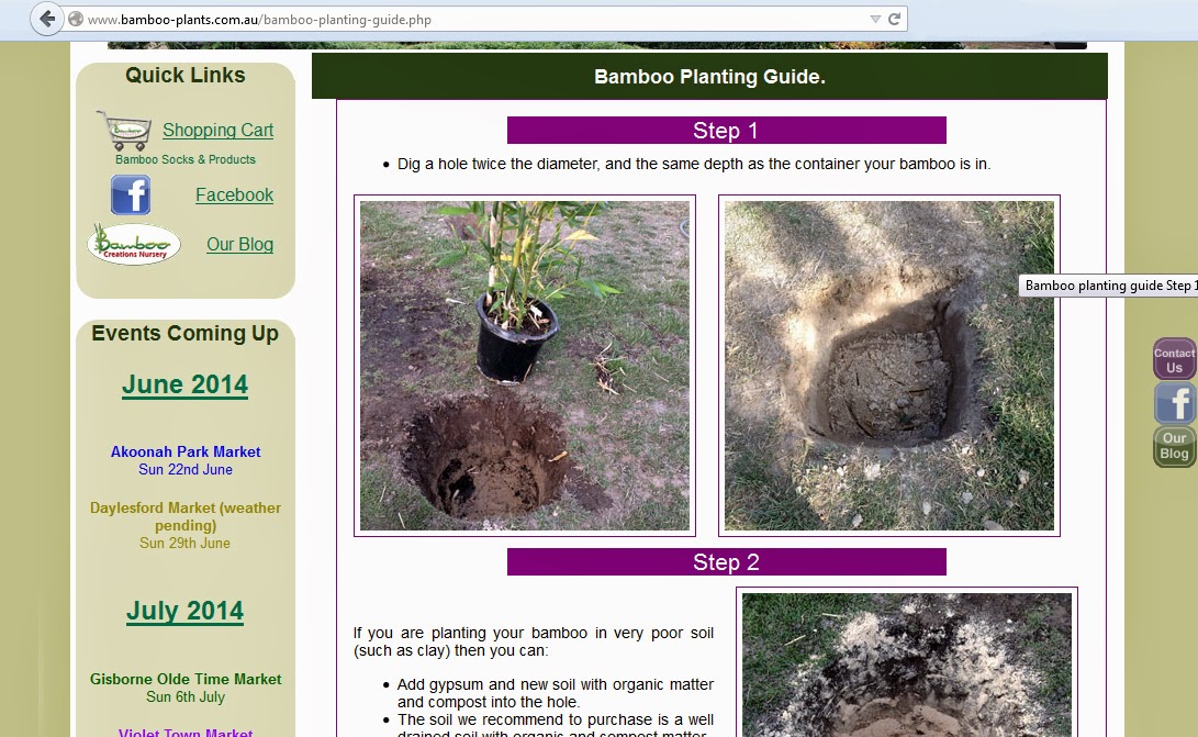 Bamboo Creations Victoria: Bamboo planting guide now available