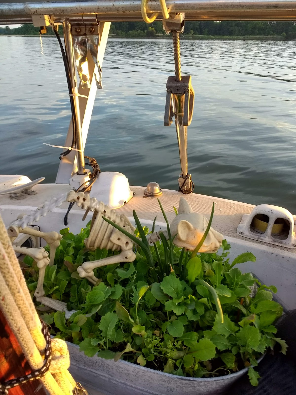 The Floating Empire: Sailing the Farm