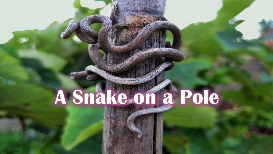 Rocky Road Devotions: A Snake on a Pole