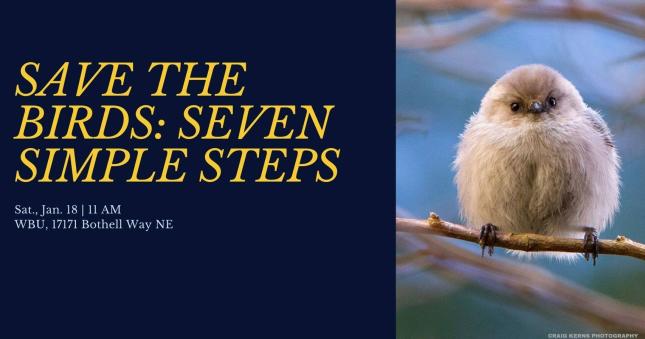 Shoreline Area News: Save the birds! 7 Simple Steps - lecture Saturday ...