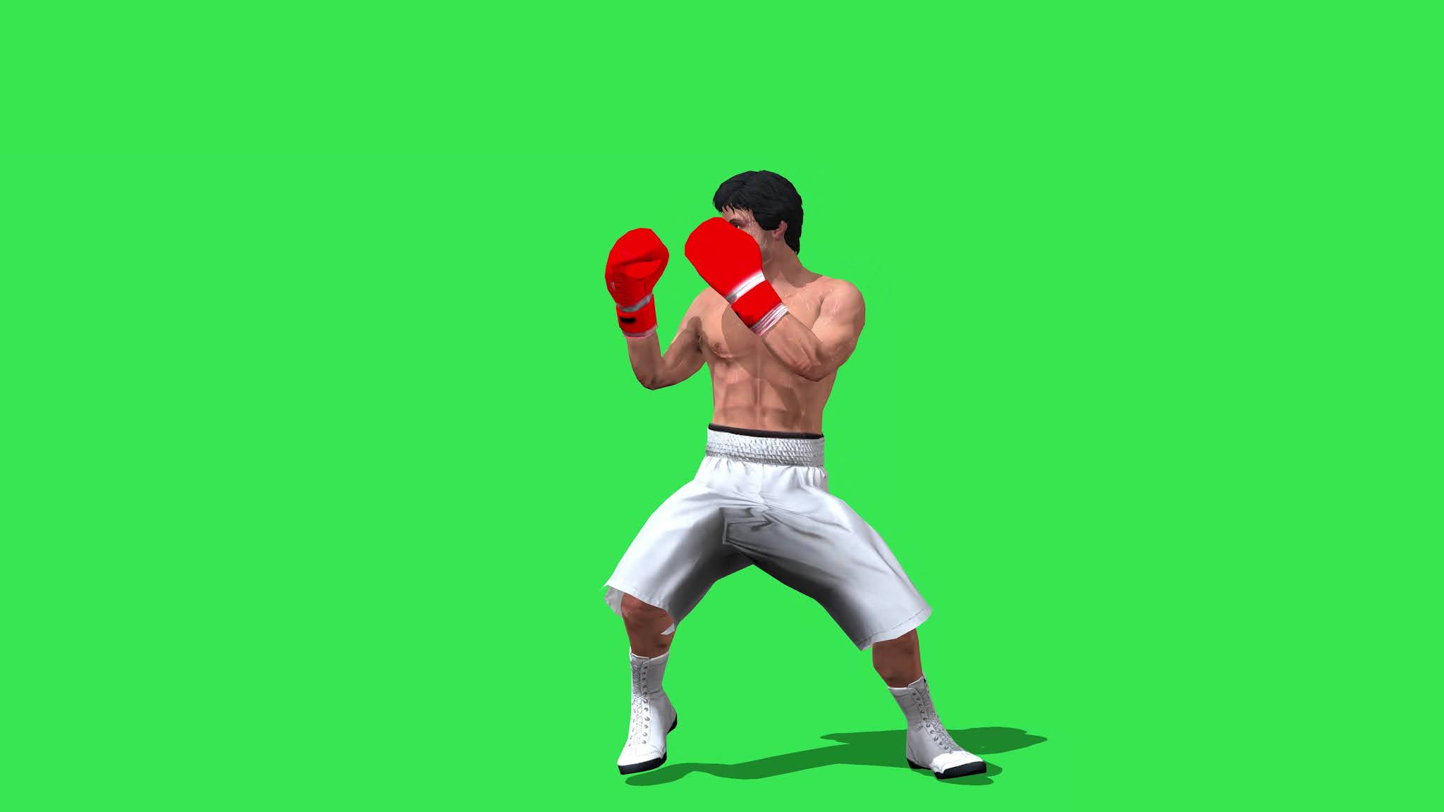 Green screen 4k boxeador