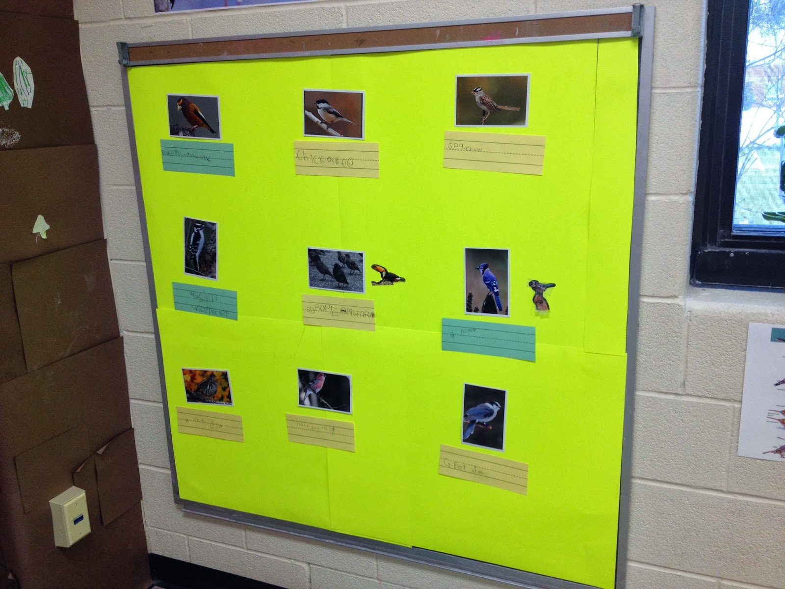 123 ECE: Dramatic Play Centre... The Bird Zone